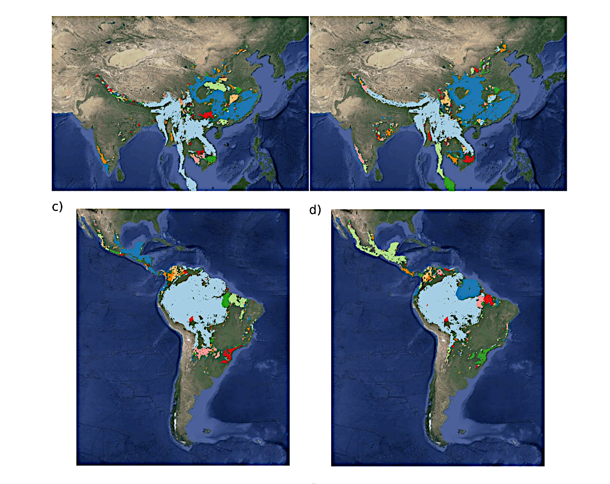 Power Laws and Critical Fragmentation in Global Forests | EcoComplex